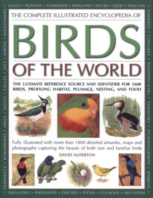 COMPLETE ILLUSTRATED ENCYCLOPEDIA BIRDS OF WORLD (B)